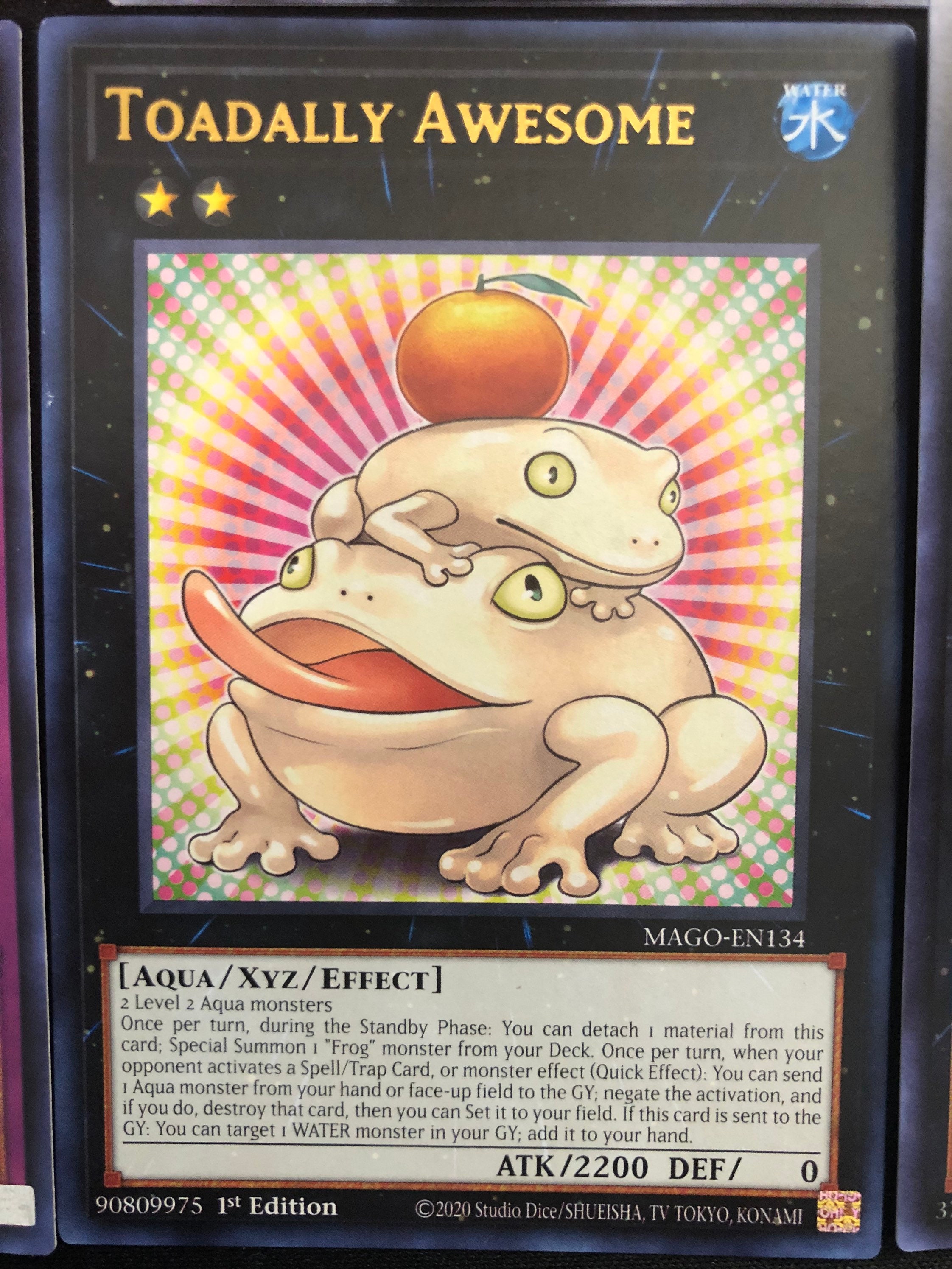 Yugioh Paleozoic Deck - Etsy