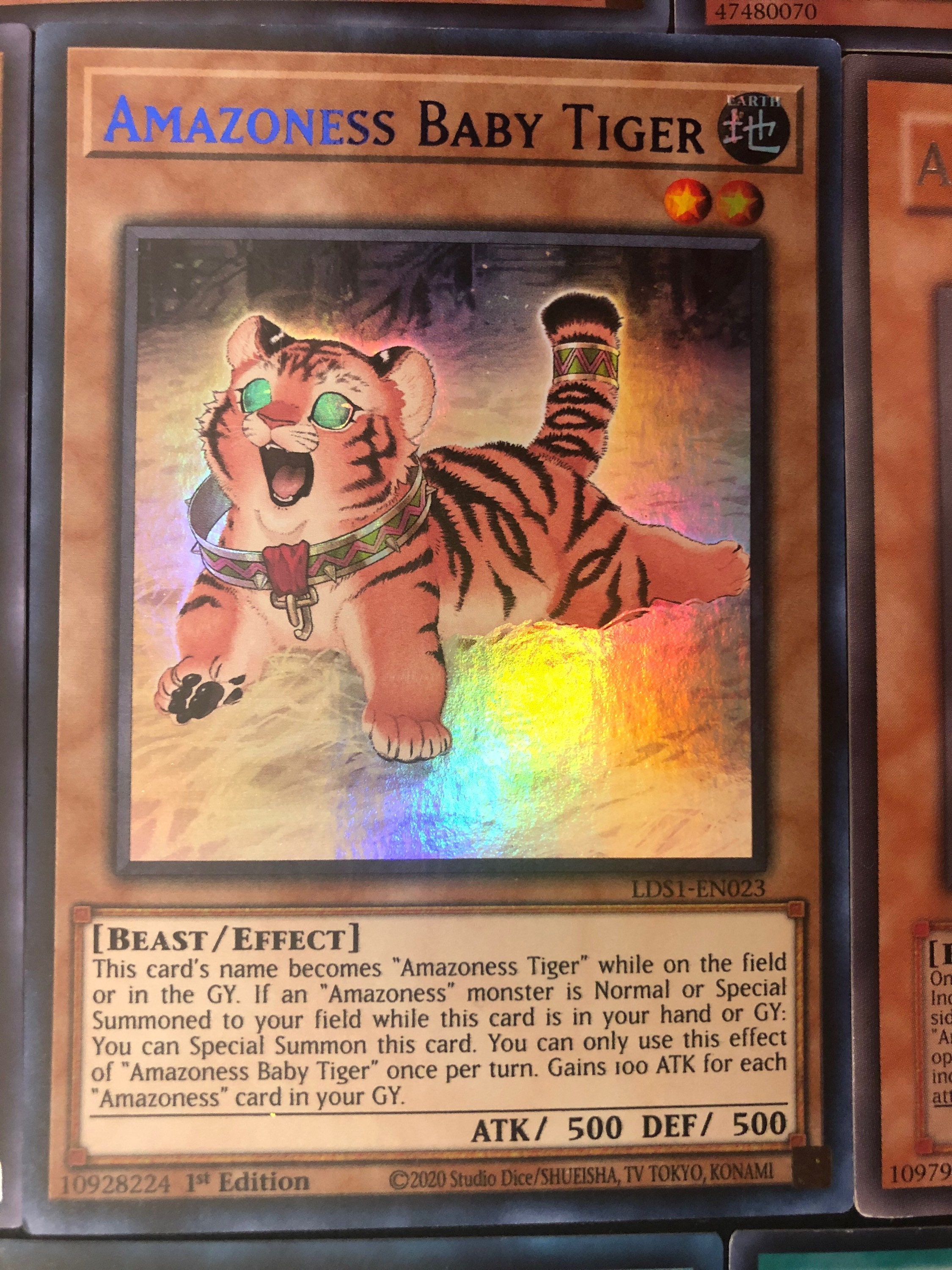 Yugioh Custom Amazoness Deck - Etsy