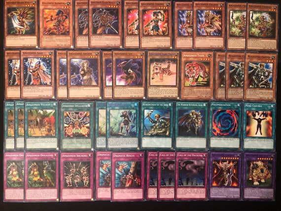 Yugioh Custom Amazoness Deck - Etsy