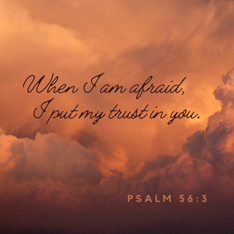 FREE Shipping 2024 Yeartext Magnets When I Am Afraid Psalm 56:3 Clouds ...