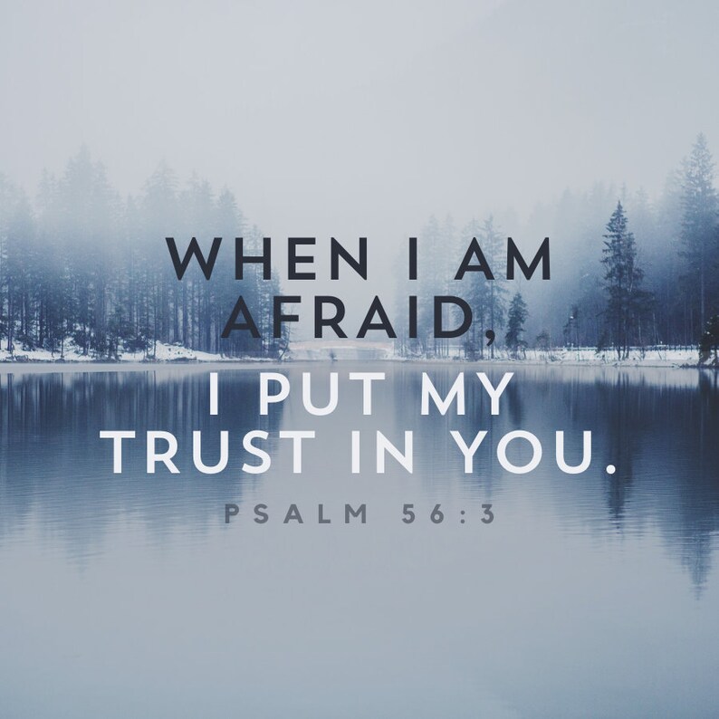 FREE Shipping 2024 Yeartext Magnets When I Am Afraid Psalm 56:3 Clouds ...