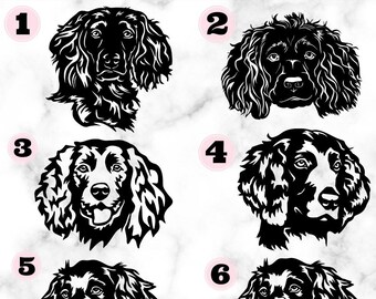 Peeking Boykin - Etsy