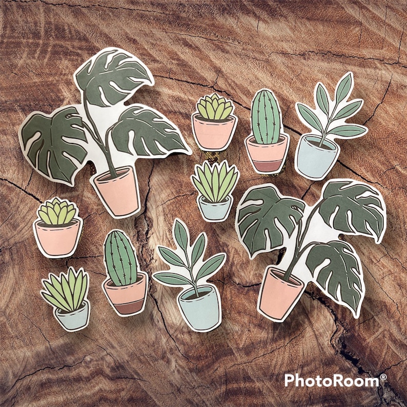 Succulents and Plant Vinyl Decal Stickers - Etsy