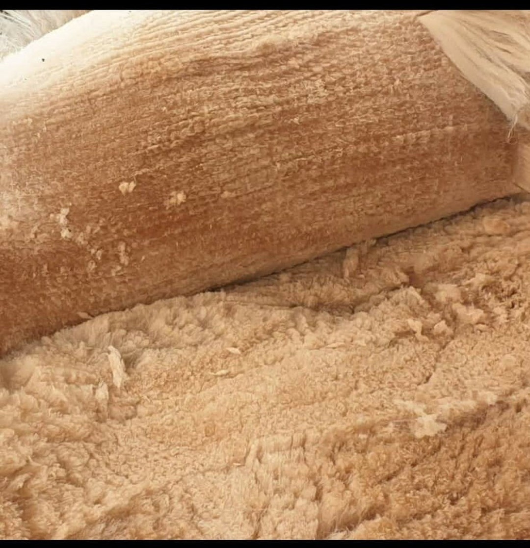 Alpaca Raw Fleece, Wool, Fibre - Etsy