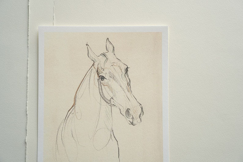 Horse Drawing: lines No. 15 Vertical Giclée - Etsy
