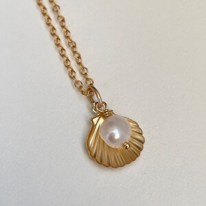 Gold Sea Shell Necklace, 14k Gold Filled Shell Necklace, Dainty Gold ...