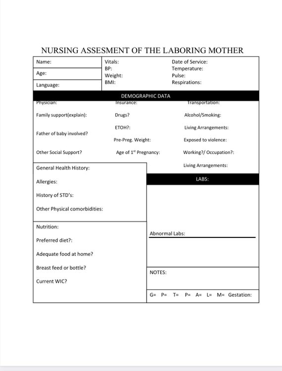 Assessment of the Laboring Mother Charts - Etsy