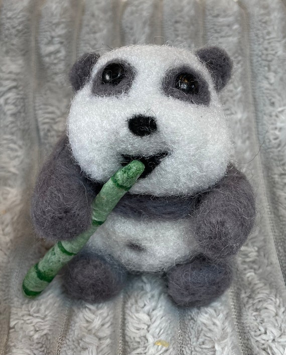 Cute Baby Pandas Eating Bamboo Cute Little Panda Eating Bamboo