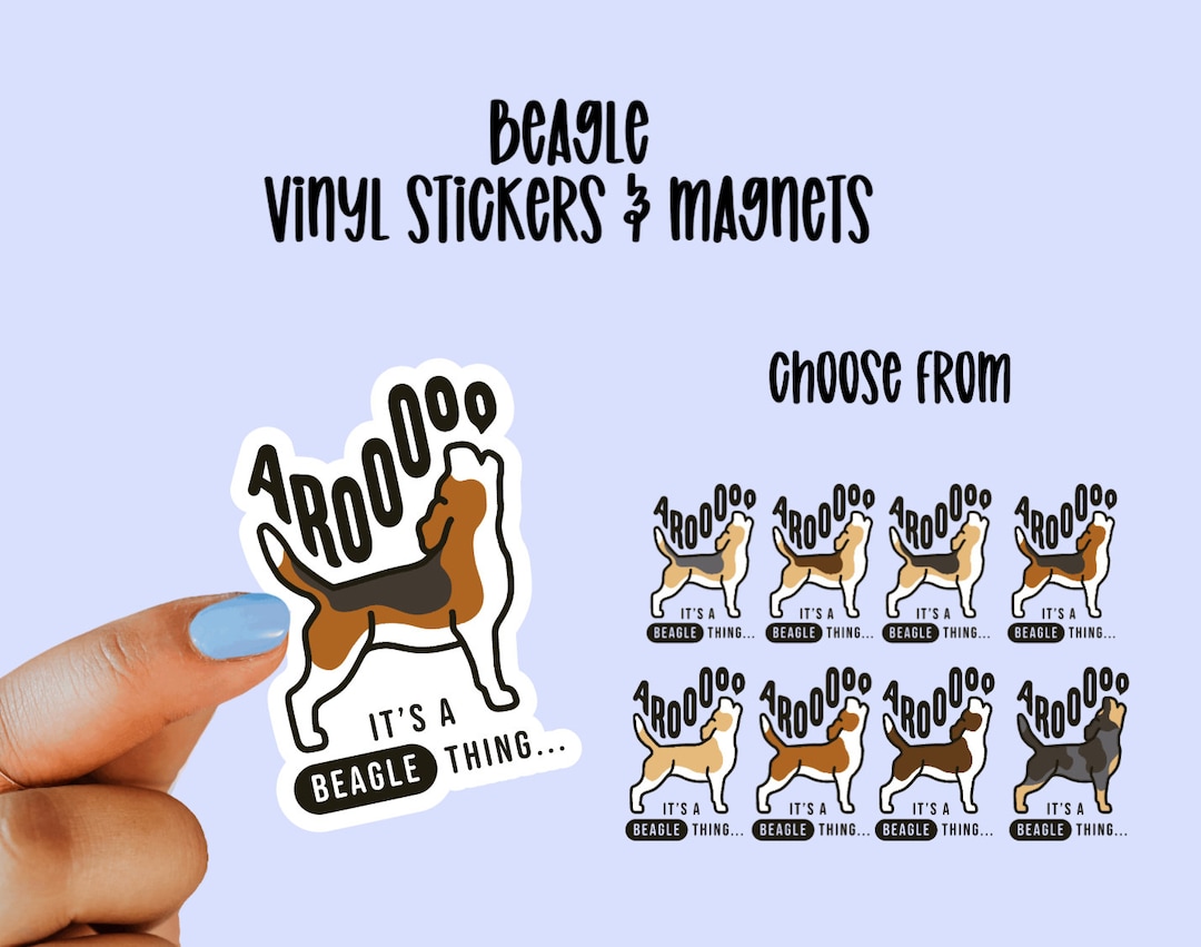 Beagle Hound Vinyl Stickers and Magnets | It's a Beagle Thing | - Etsy