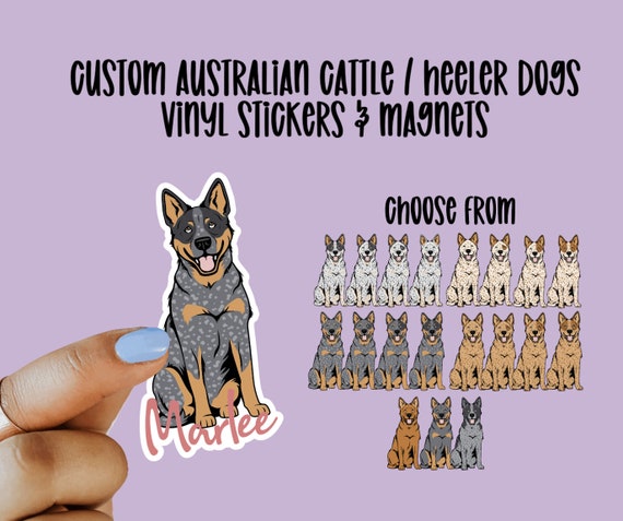 Cattle Dog Stickers
