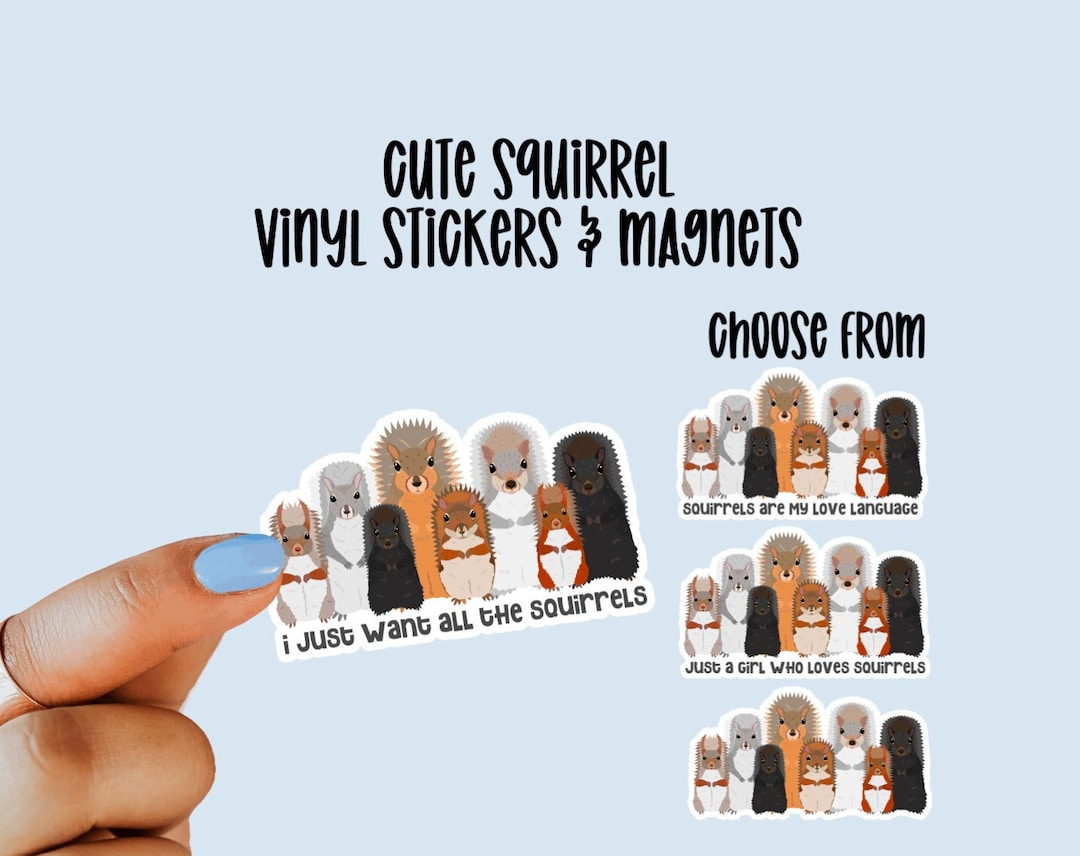 Cute Squirrel Stickers and Magnets | Vinyl Stickers | Waterproof and ...