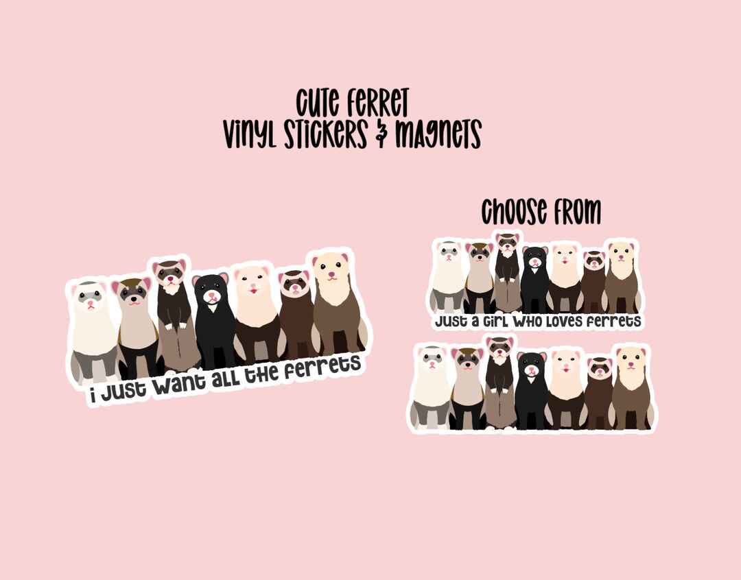 Cute Ferret Vinyl Stickers and Magnets, Water Bottle Stickers, Laptop ...