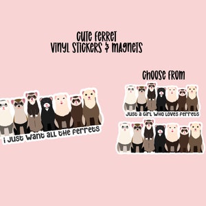Cute Ferret Vinyl Stickers and Magnets, Water Bottle Stickers, Laptop ...