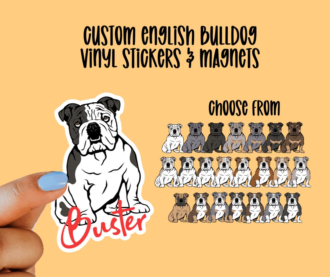 Custom English Bulldog Vinyl Stickers and Magnets | English Bulldog ...