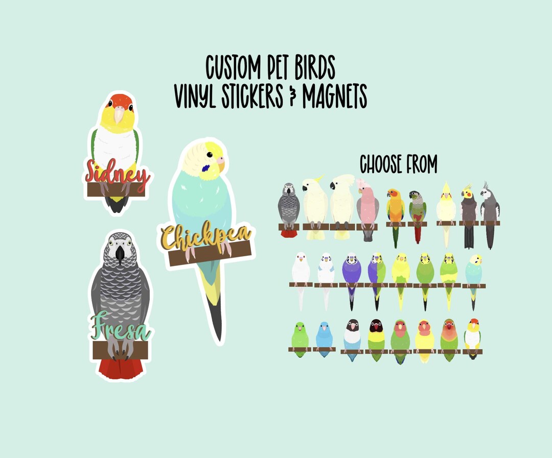 Custom Birds Parrot Parakeet Cockatiel African Gray Vinyl Stickers and ...