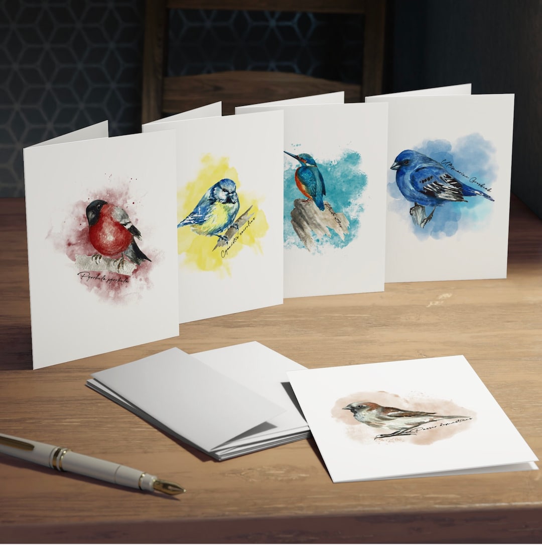 Birds Blank Inside Cards 5-pack With Envelopes, Bird Watcher Cards ...