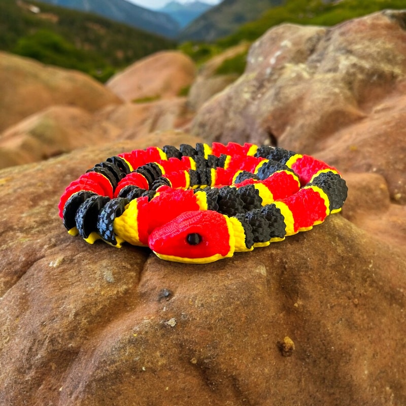 Coral Snake - Etsy