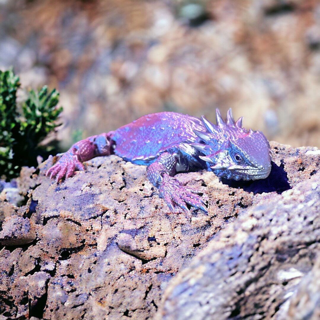 3D Printed Realistic Flexible/articulated Horned Lizard, Sensory/fidget ...
