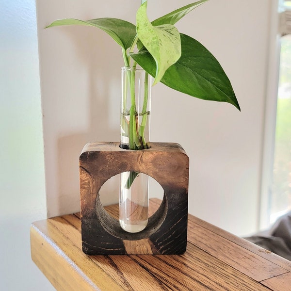 Propagation Station - Etsy