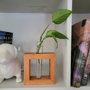 Wood Propagation Station With Plant - Etsy