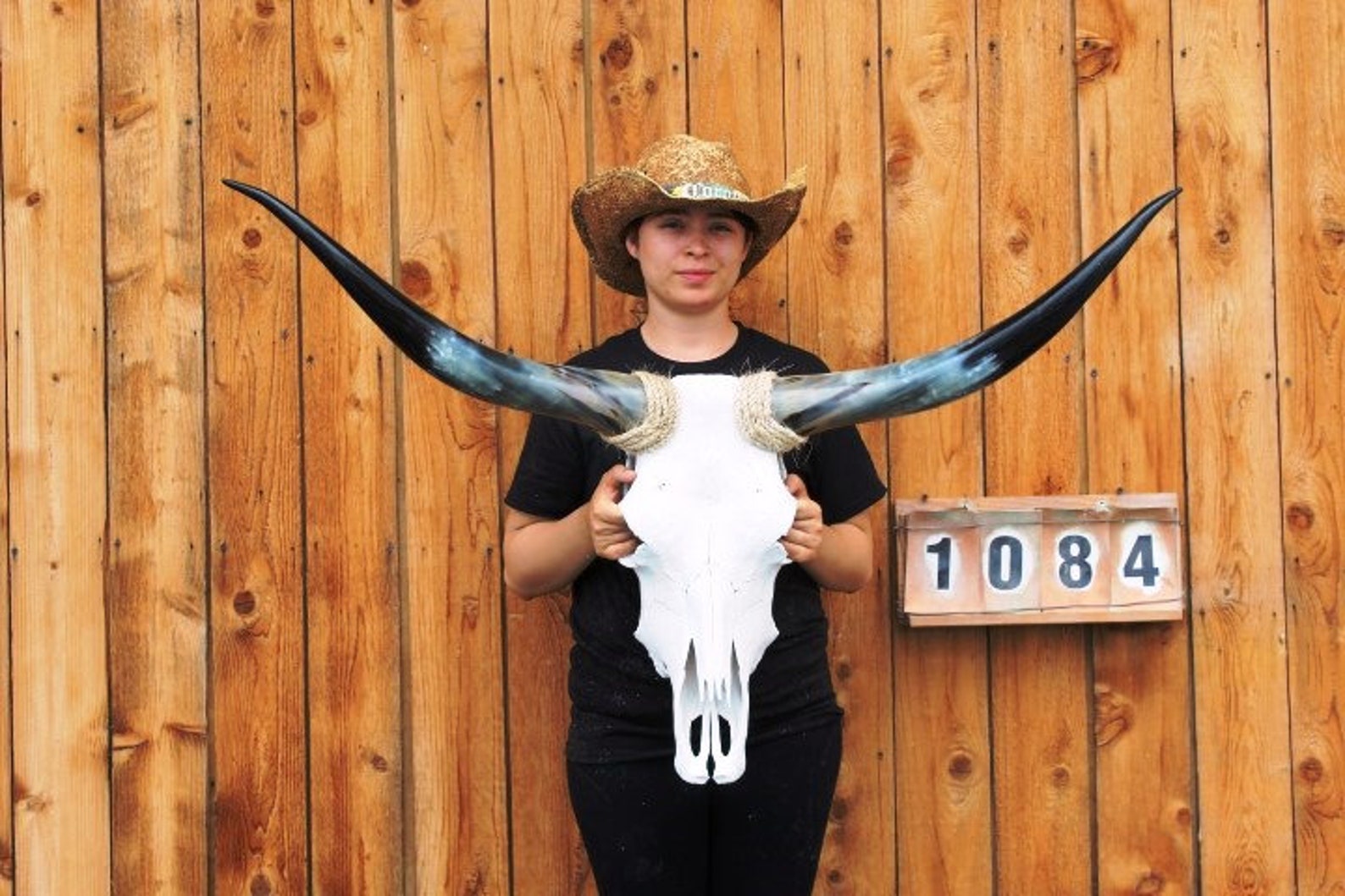 Steer Skull ART Western Decor Polished Long Horns Mounted 3' 9 Cowhide ...