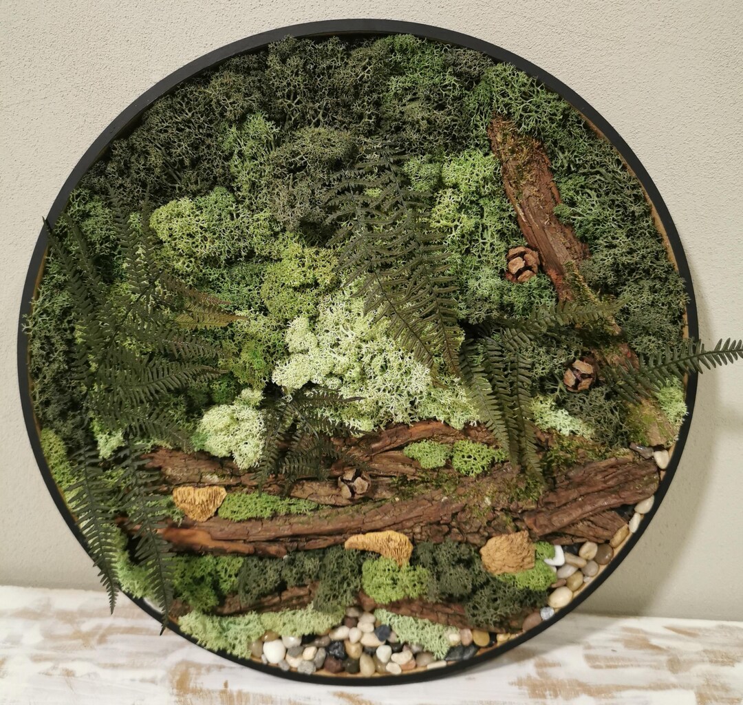 Moss Wall Art | Preserved Moss Decor | Round Moss Wall Hanging | Wood ...