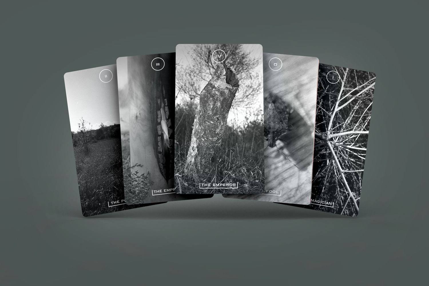 Savran Forest Tarot Deck is a Nature Filled Earthy - Etsy Canada