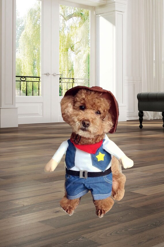 Cowboy Costumes for Small Dog Pets Disguise - Etsy Canada