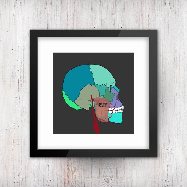 Muscle Print - Etsy