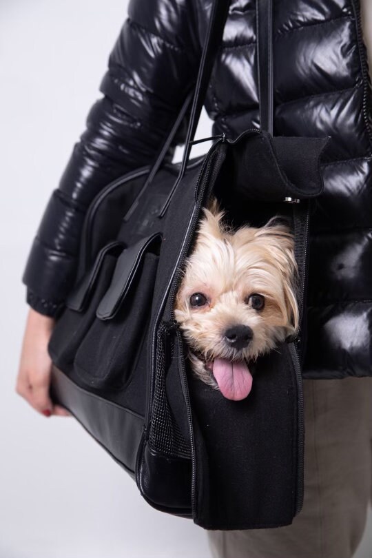 Dog Carrier, Dog Bag, Dog Tote, Dog Accessories, Dog Travel Bag, Pet ...
