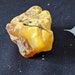 Large Raw Butterscotch Baltic Amber Ethically Sourced Rough Gemstone ...