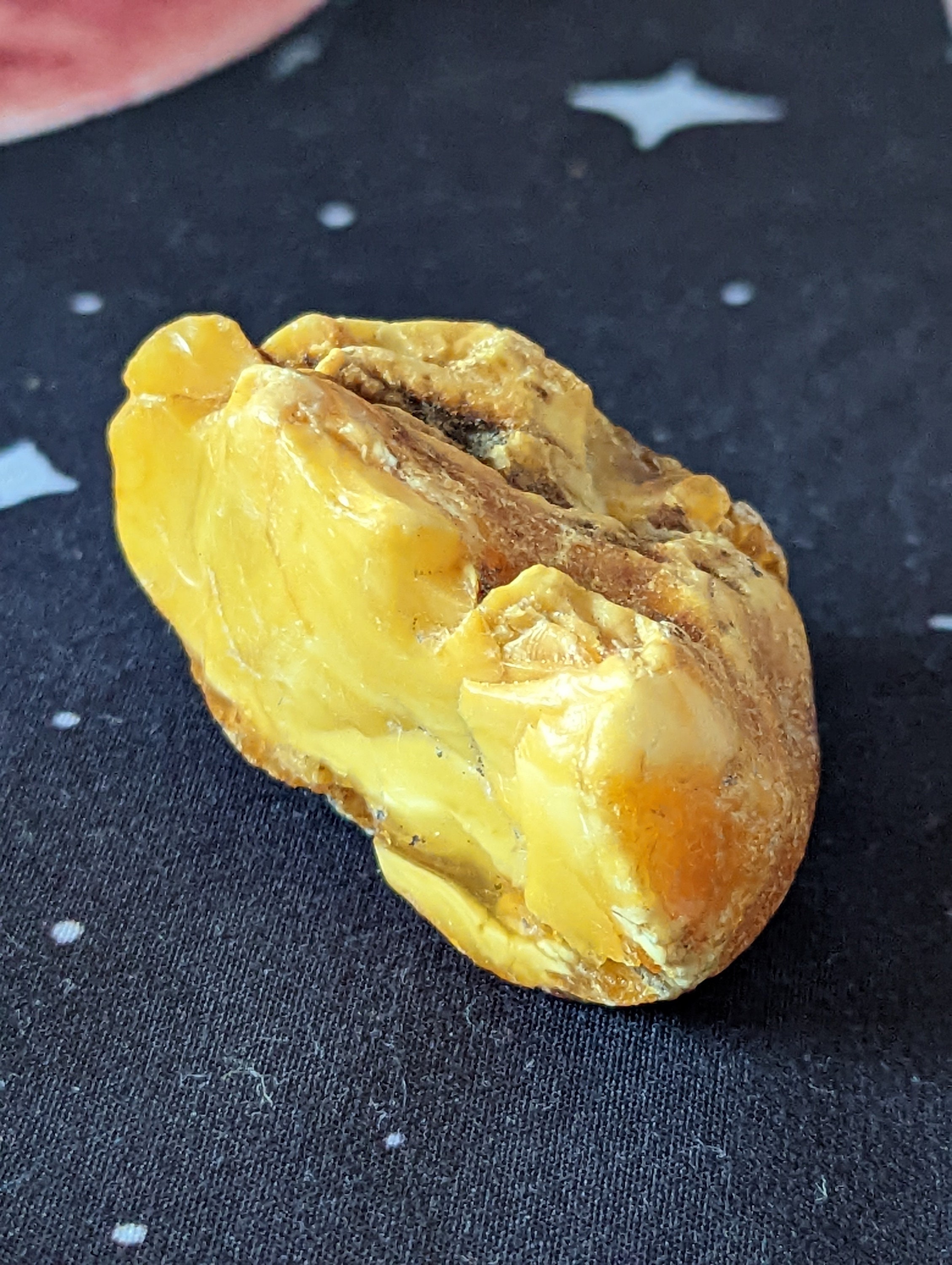 Large Raw Butterscotch Baltic Amber Ethically Sourced Rough Gemstone ...