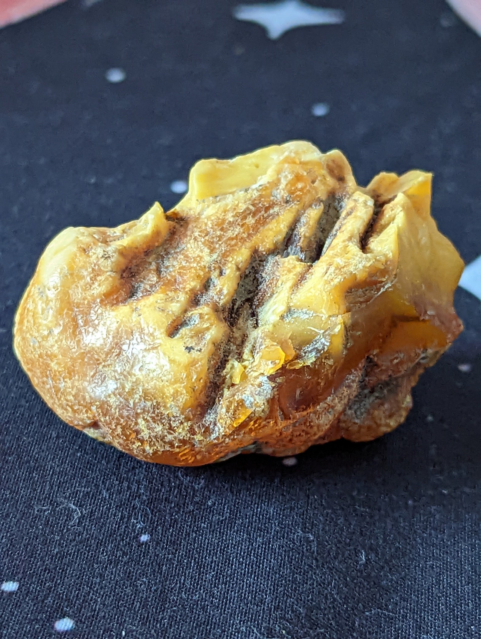 Large Raw Butterscotch Baltic Amber Ethically Sourced Rough Gemstone ...