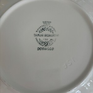 Vintage Taylor Smith & Taylor (TST) Ironstone 10" Dinner Plates ...