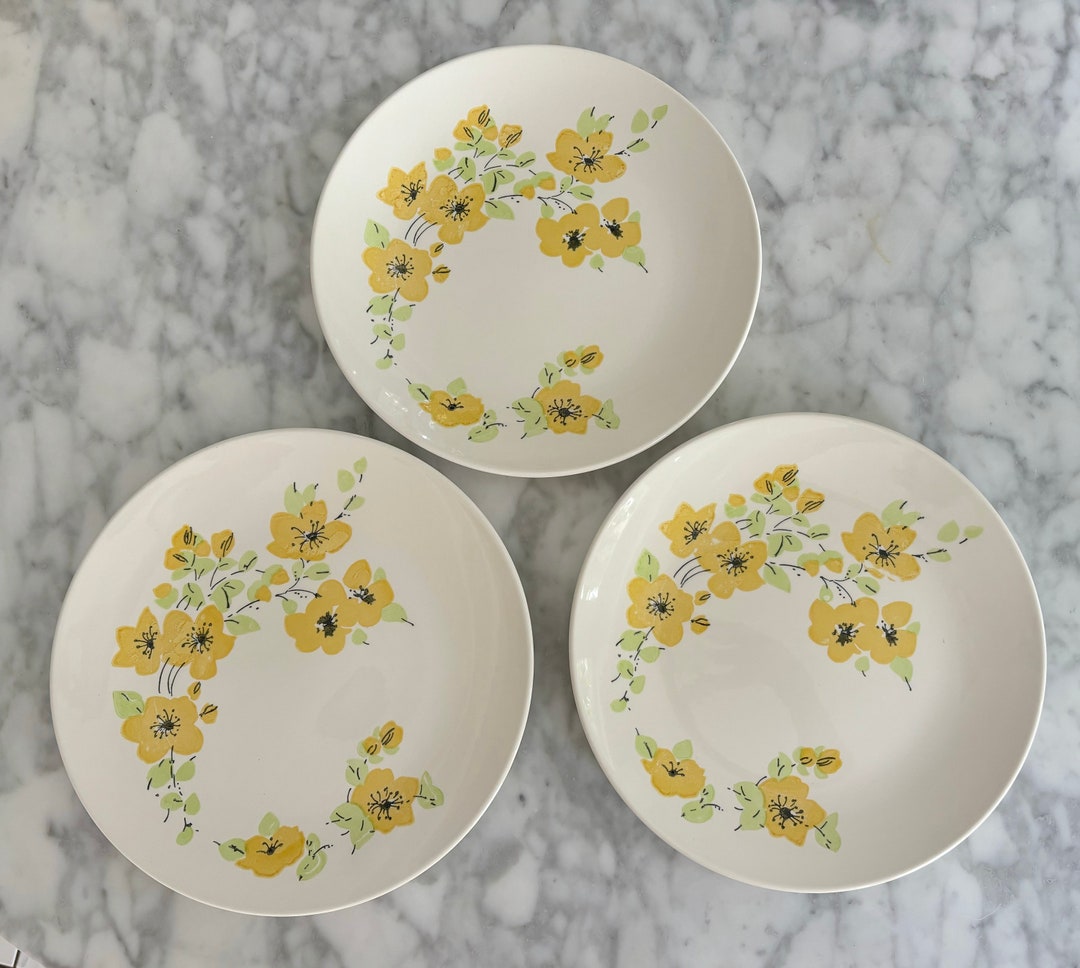 Vintage Taylor Smith & Taylor (TST) Ironstone 10" Dinner Plates ...