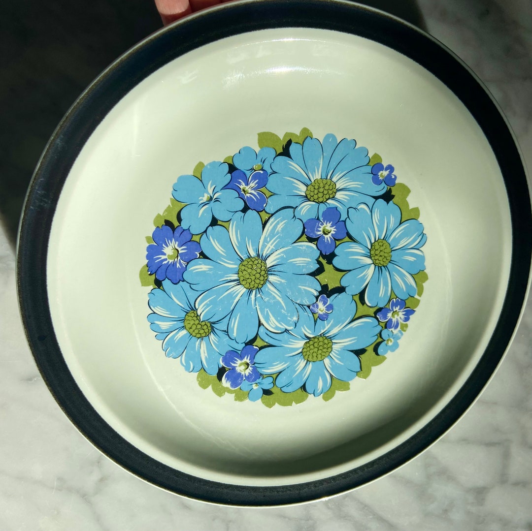 Vintage Blue Shasta Large Plate / Charger by Designer’s Collection ...