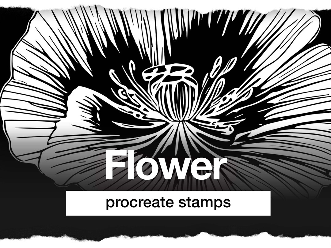 Procreate Flower Stamps, Procreate Flowers - Etsy