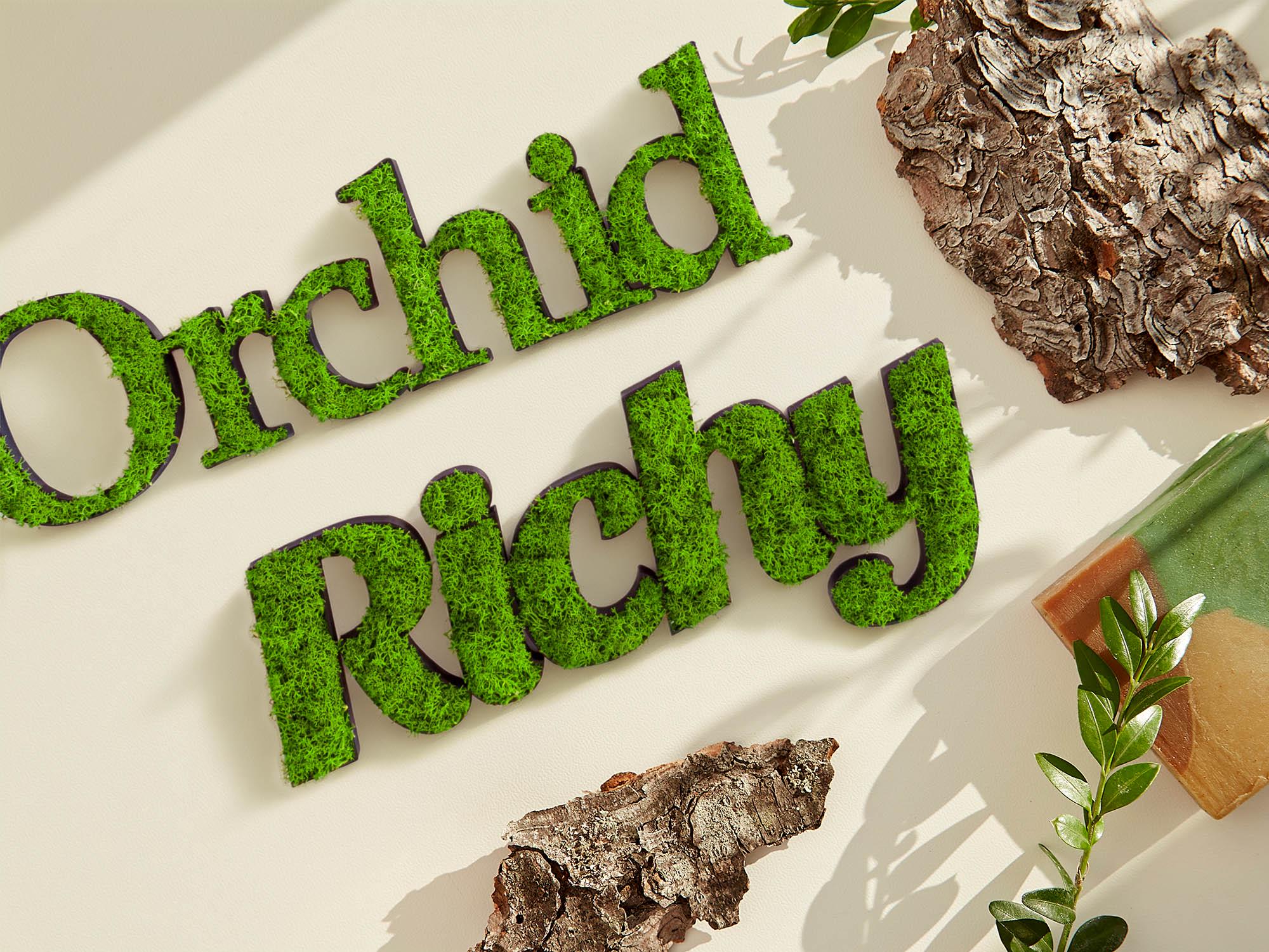 MOOSWERK Personalized Moss Door Sign With Name | Custom Moss Lettering ...