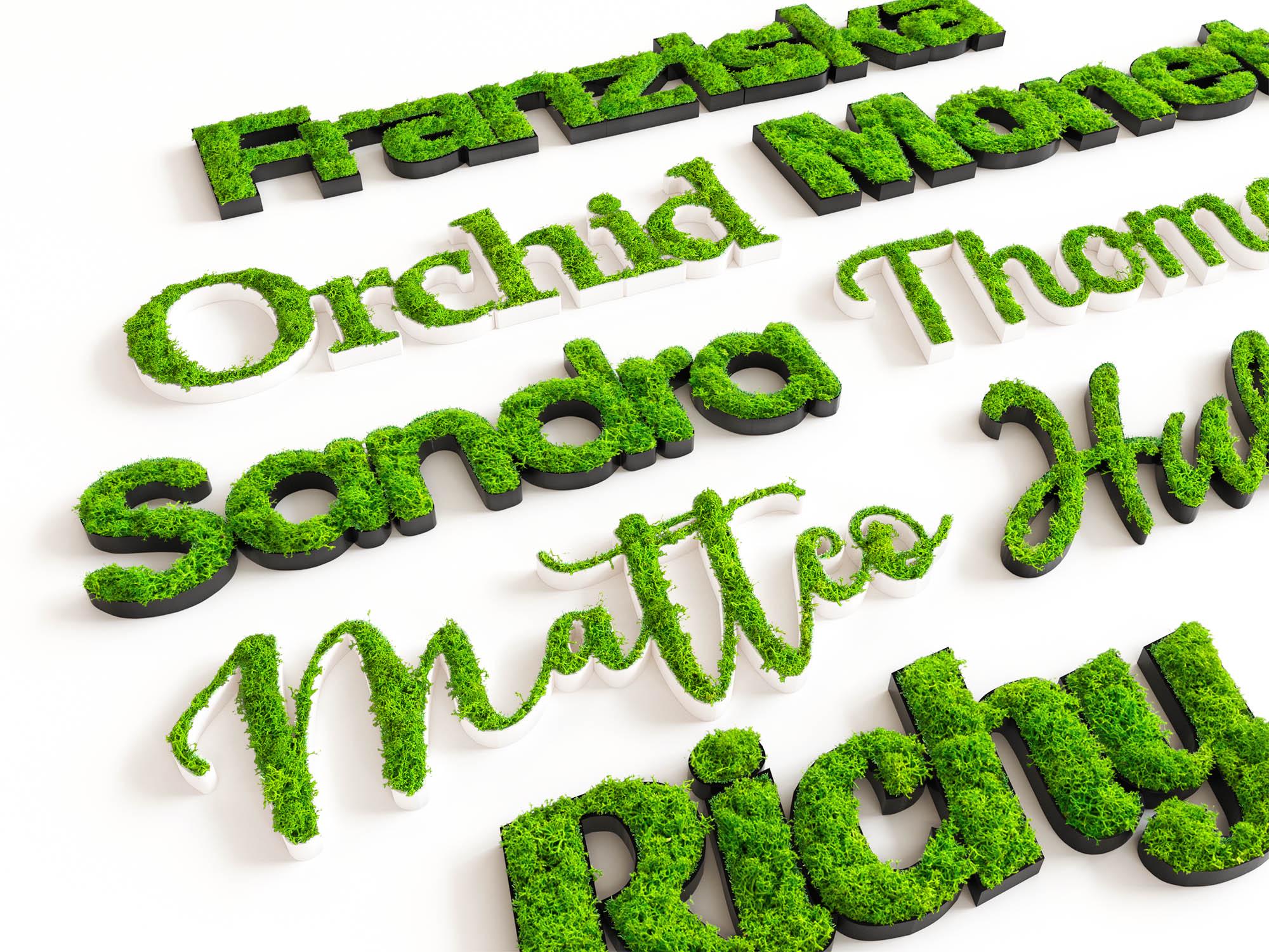 MOOSWERK Personalized Moss Door Sign With Name | Custom Moss Lettering ...