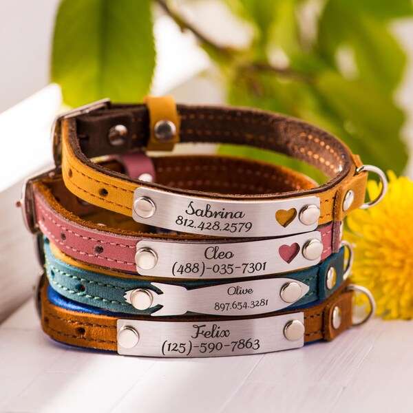 Cat Collars? - Etsy