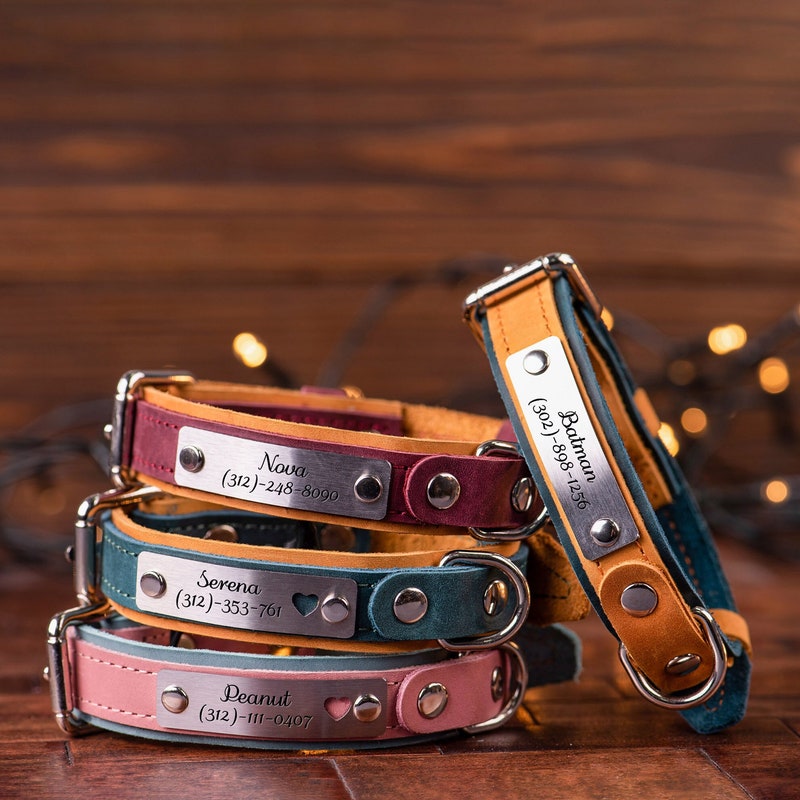 Custom Dog Collars - Etsy