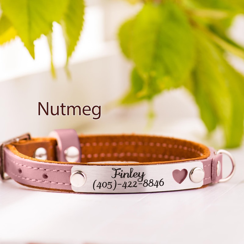 Custom Cat Collar - Etsy