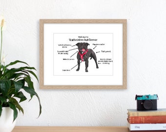 Staffy Wall Poster - Etsy