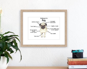 Anatomía de un pug | Etsy España