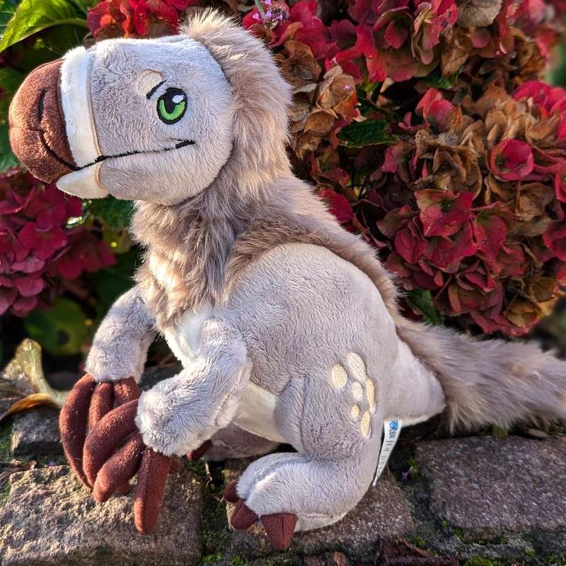 Elias Duarte Lopez Dinosaur Hapush Braids - Etsy Canada