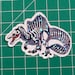 Holo Spinosaurus Skeleton Sticker Handmade Vinyl - Etsy