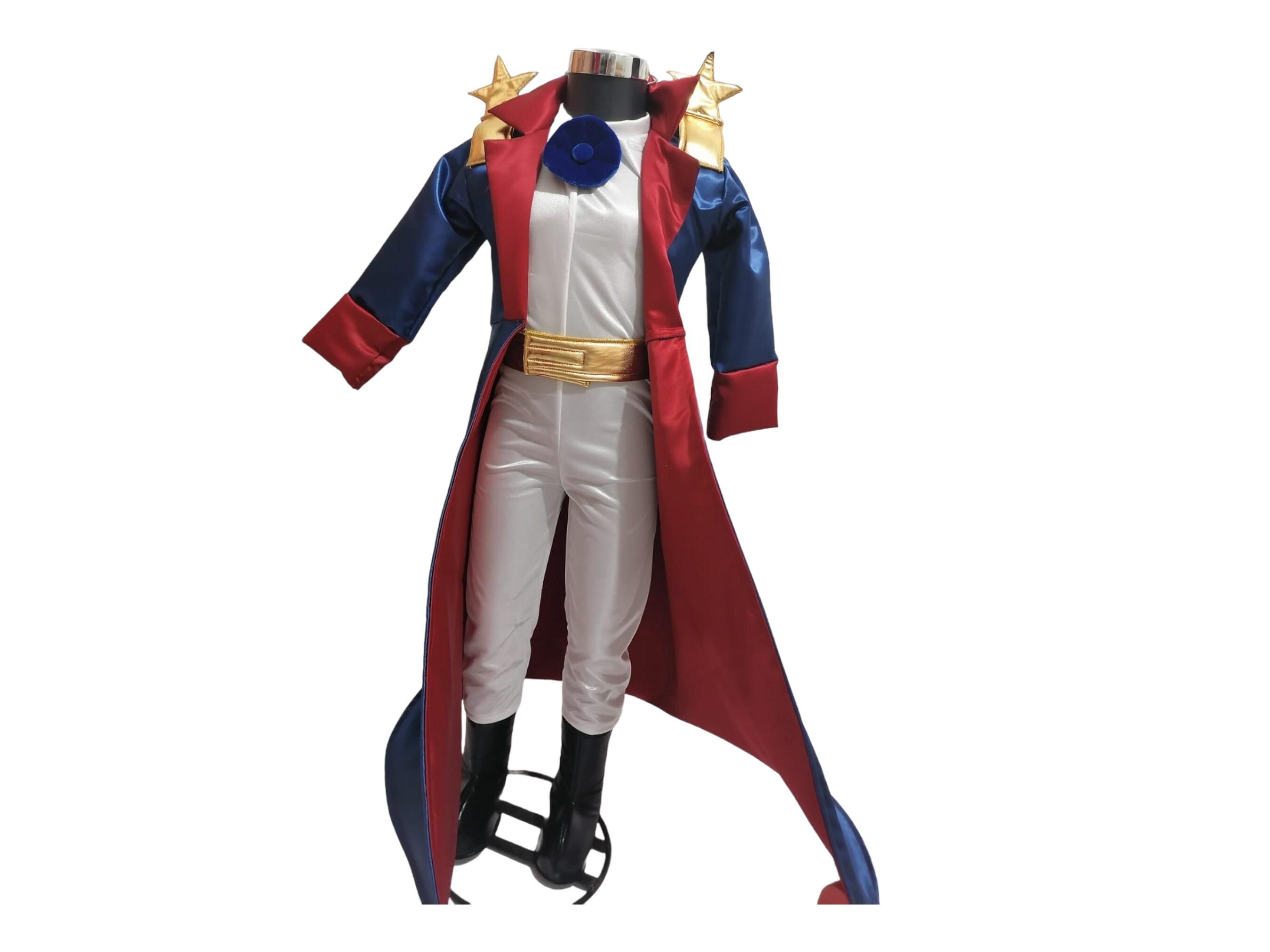 Beautiful, the Little Prince Costume, the Little Prince Outfit, the ...