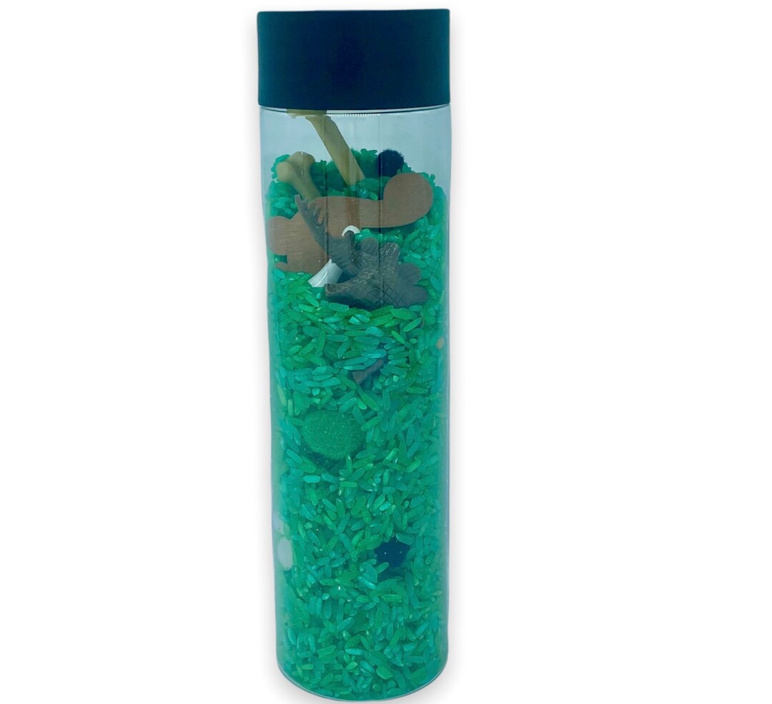 Dinosaur Sensory Bottle, Eye Spy Bottle,time Out Bottle, Calm Down ...
