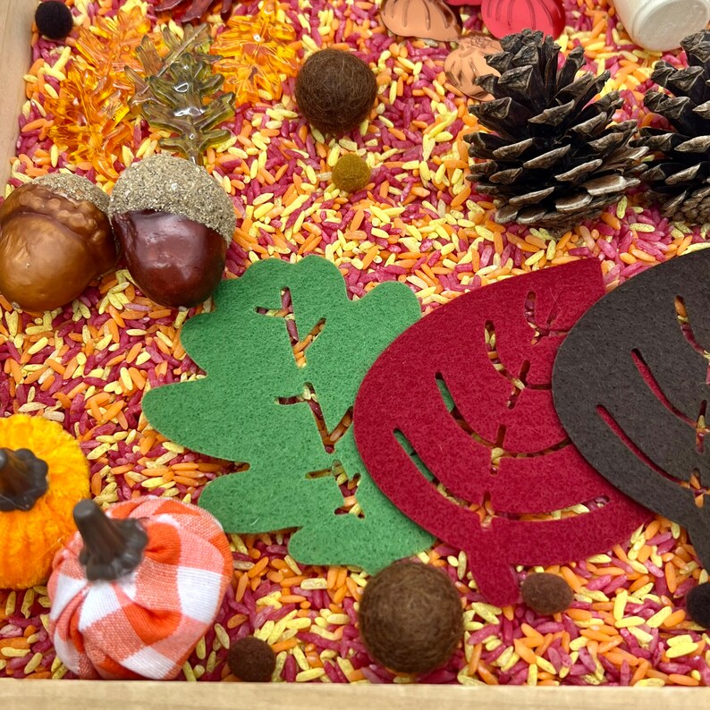 Fall Autumn Sensory Bin Kit, Montessori Activity, Wooden Toys, Waldorf ...