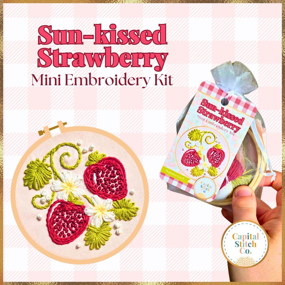 Sun-kissed Strawberry DIY Mini Embroidery Kit Cute Berry Stitch With ...